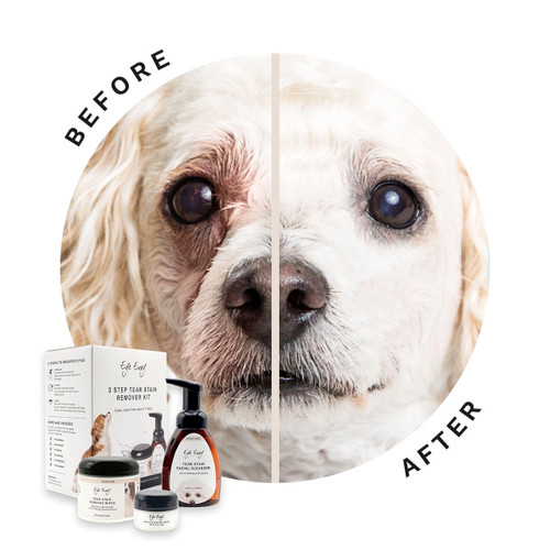 EYE ENVY 3-STEP TEAR STAIN REMOVER KIT FOR DOGS