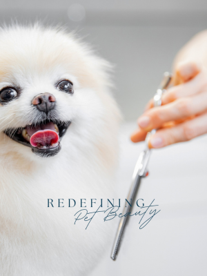 Wellmark Chlorhexidine Spray - 237ml