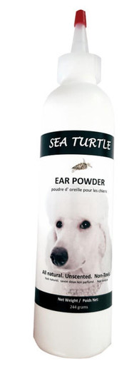 Sea Turtle Ear Powder - Lynn Professional