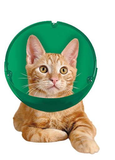 Soft Paws E-Collar for Cats & Small Dogs