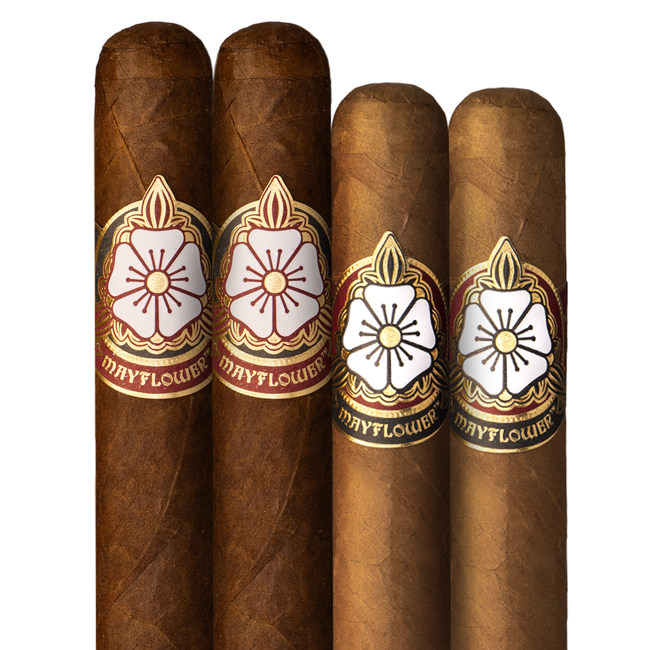 Mayflower Dusk - Premium Handmade Cigars