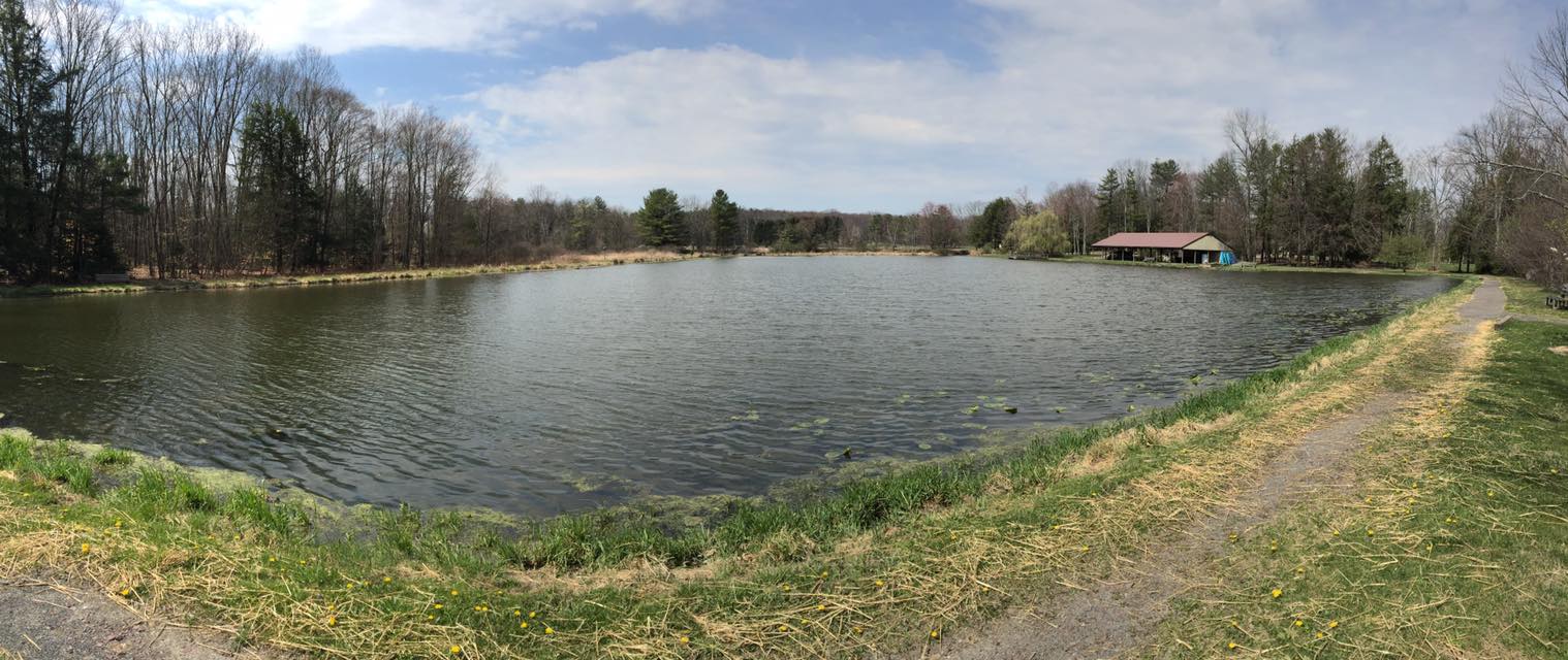 Featured Pond Construction Projects