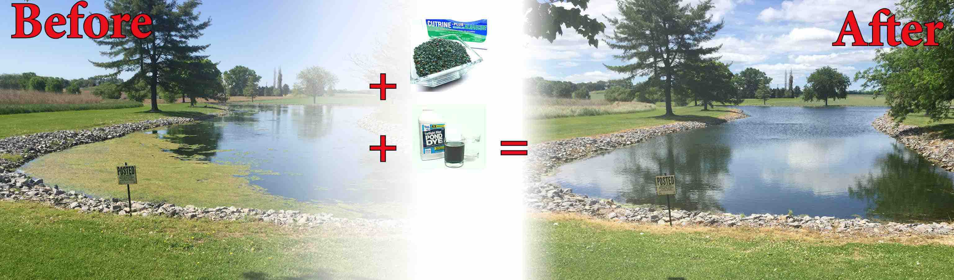 Pond and Lake Management
