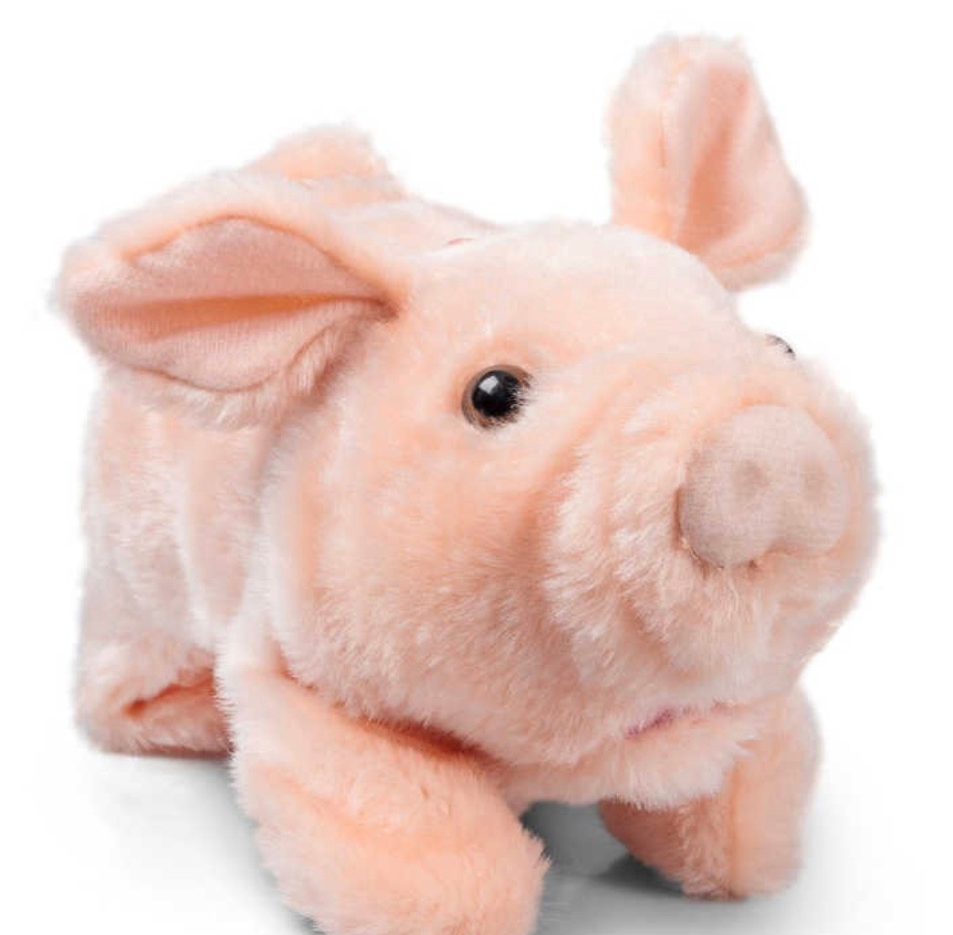 walking plush pig