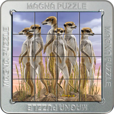 Meerkat 3D puzzle magnetic