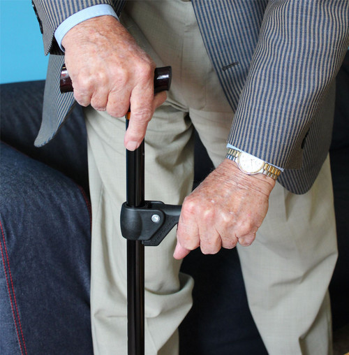 Springbok Support Handle Walking Stick Accessory to Assist Standing Up ...