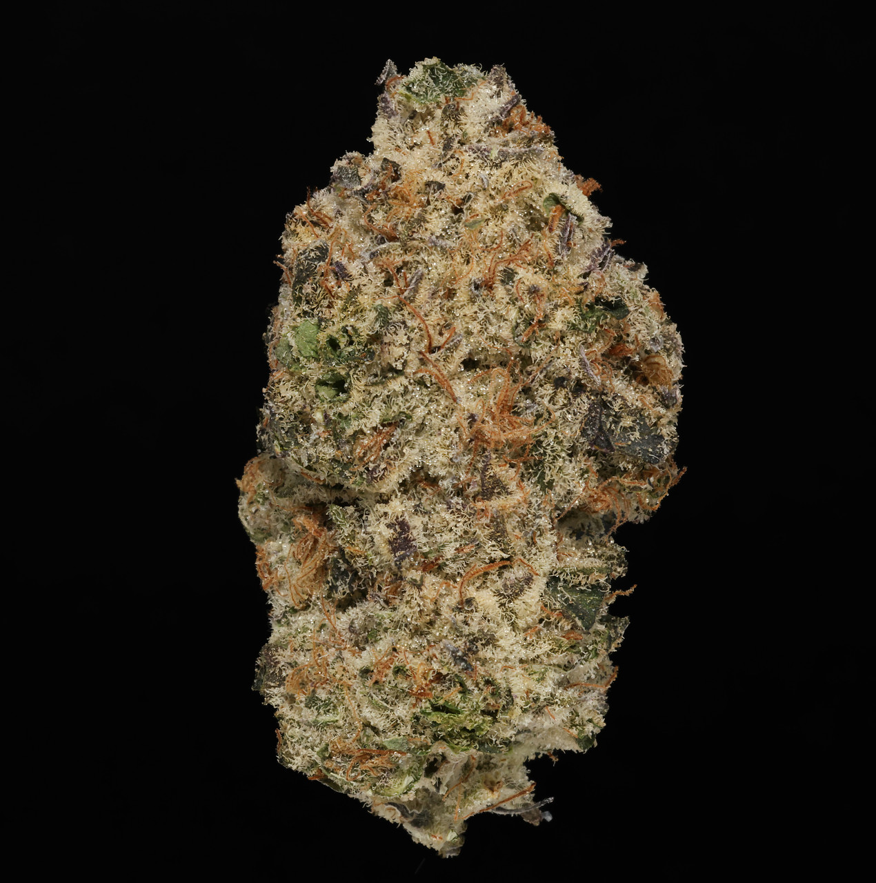 Pure Michigan - 24% THCA Small Batch Living Soil Hemp Flower