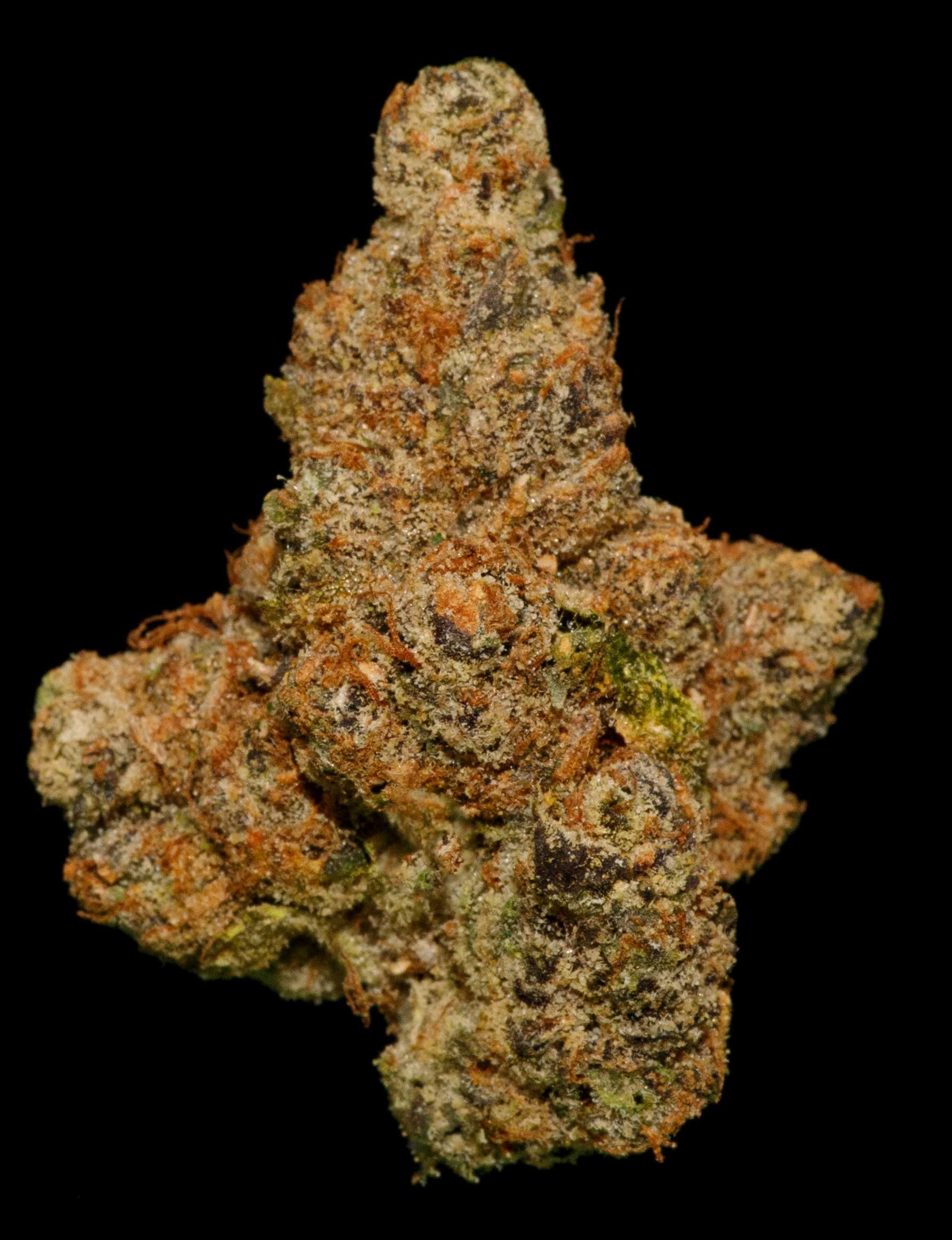 Candy Runtz - 24% THCA Living Soil Hemp Flower