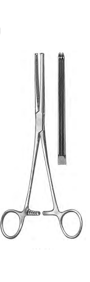 ALLEN Intestinal Forceps, Longitudinal serrations With 1 x 2 teeth ...