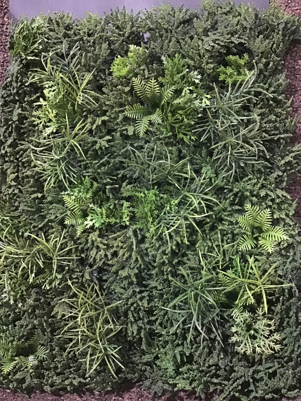 Scenic Textures #F14 Fern and Undergrowth Detail-21 x 27cm - Bay Hobbies