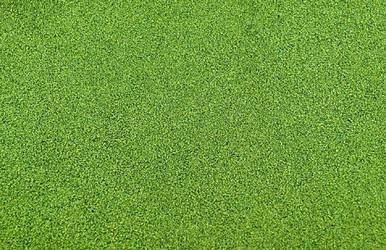 JTT #95403 Grass Mat: Medium Green (1250 x 850mm) - Bay Hobbies