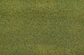 JTT #95408 Grass Mat: Moss Green (2500 x 1250mm) - Bay Hobbies