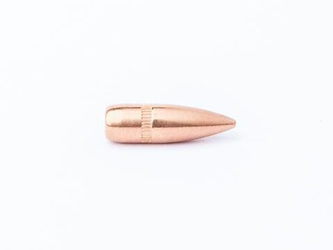 CAM PRO .223 55GR FMJ