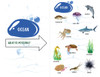 Ecosystems and Biomes Ocean Game