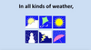 ALL WEATHER FRIENDS' (Grades Pre K-3) ~ Curriculum Song Video