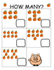 Bundle Digital And Printable Apple Math Unit