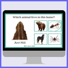 Animals and Their Homes- 2 Level Matching- Boom Cards- With Real Images