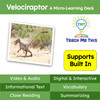 Velociraptor Informational Text Reading Passage and Activities