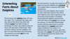 Dolphins Informational Text Reading Passage and Activities