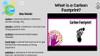 Carbon Footprint Informational Text Reading Passage and Activities