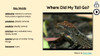 FREE Lizards Informational Text Reading Passage and Activities