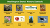 Washington (50 States and Capitals) Informational Text and Activities