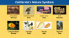 California State (50 States and Capitals) Informational Text and Activities