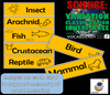 Variation, Classification and Inheritance - 40 Vocabulary Word cards