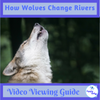How Wolves Change Rivers - Amped Up Learning
