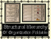 Structural Hierarchy of Organization Interactive Notebook / Foldable ...