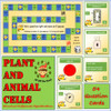 Plant and Animal Cells - Structure, Difference and Specialisation Board ...