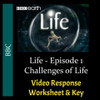 Life - Episode 01 - Challenges of Life - Video Response Worksheet & Key ...
