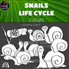 Snail life cycle - Amped Up Learning