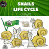 Snail life cycle - Amped Up Learning