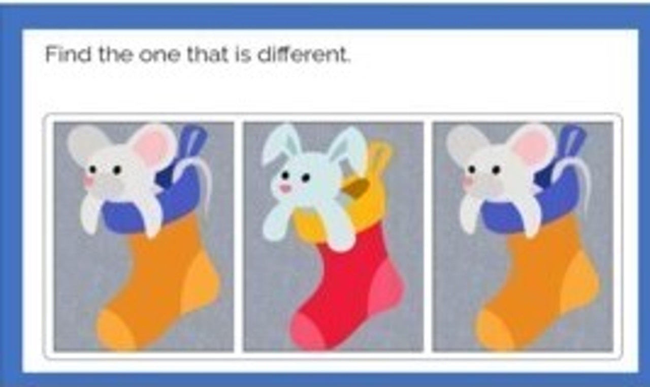 Same & Different - Winter Animals - Matching & Find the Difference