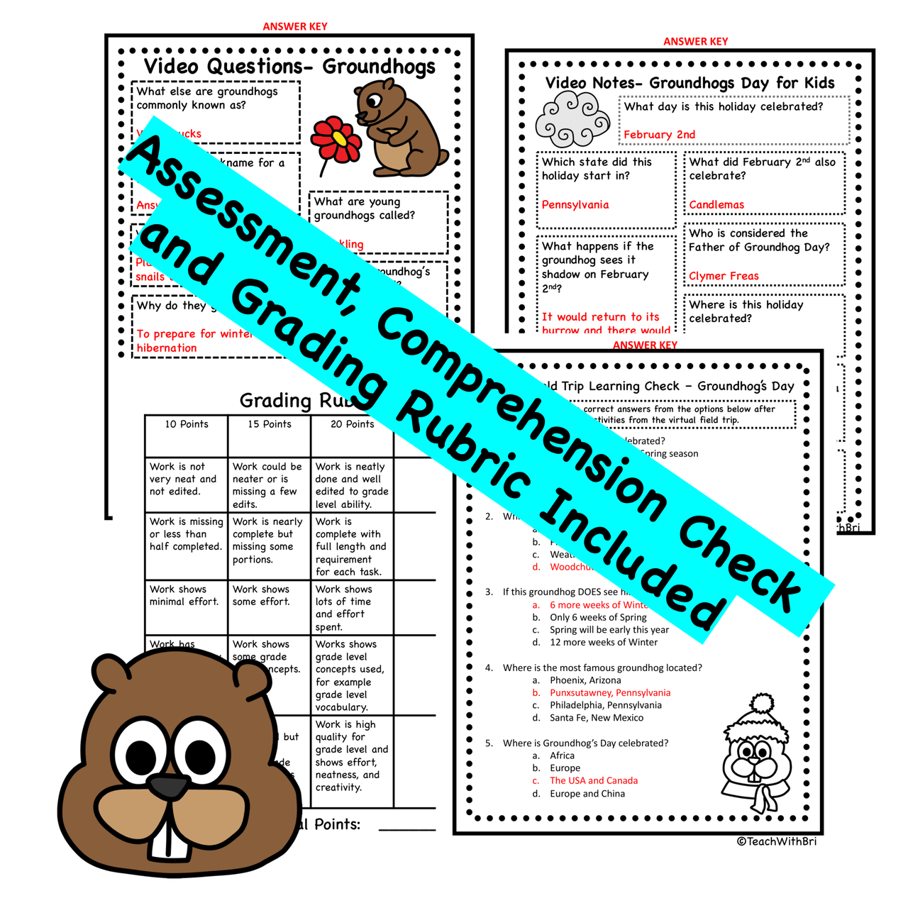 Christmas Tree Farm Virtual Field Trip