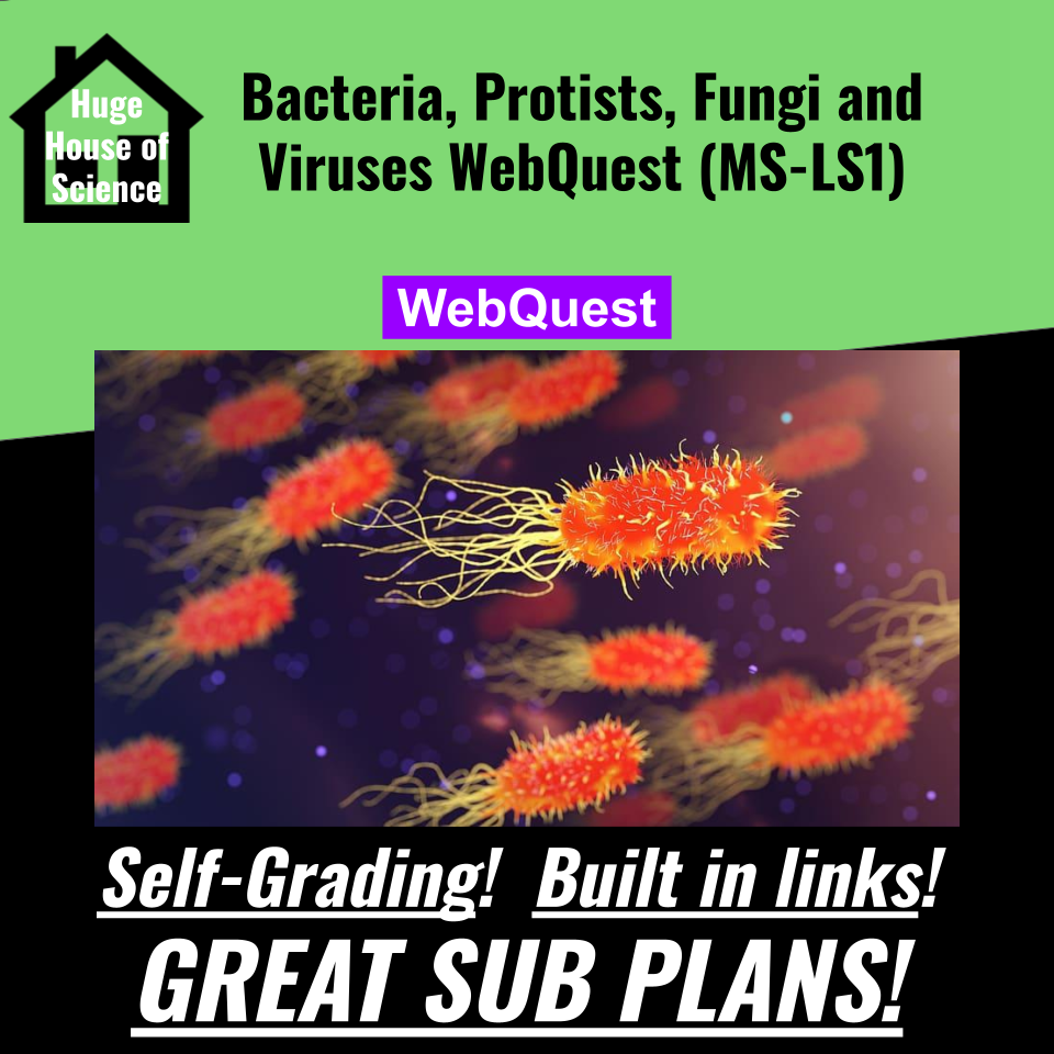 Bacteria, Protists, Fungi and Viruses WebQuest (MS-LS1) Great sub plans!