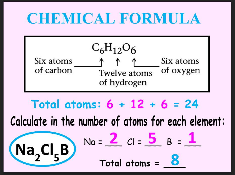 Photosynthesis and Cellular Respiration - Amped Up Learning