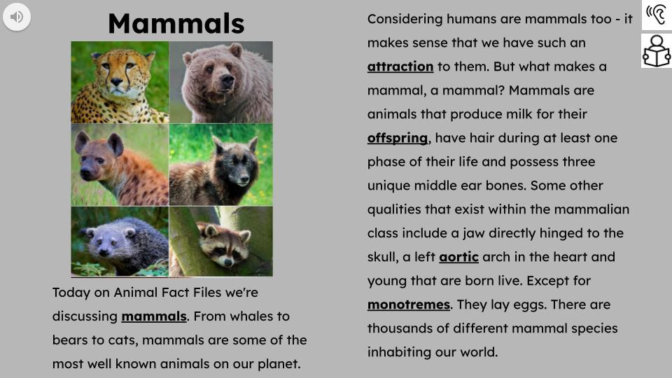 Stock Photos - Mammals at the Zoo - Amped Up Learning