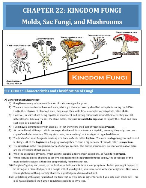 Camp's Biology By the Numbers: Review of Kingdom Fungi - Amped Up Learning