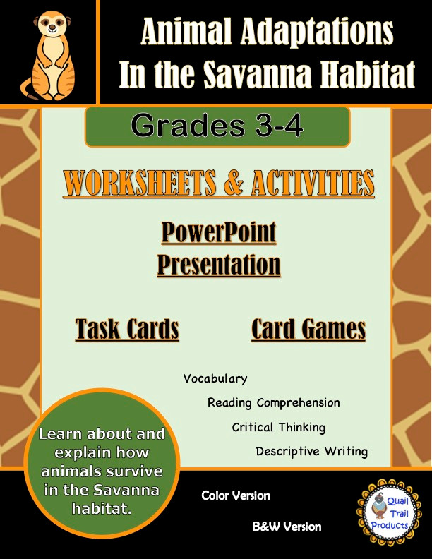 Animal Adaptations in the Woodland Habitat Activities and Worksheets