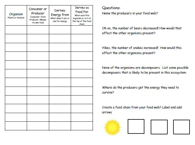 Food Chain Science Lab - Amped Up Learning