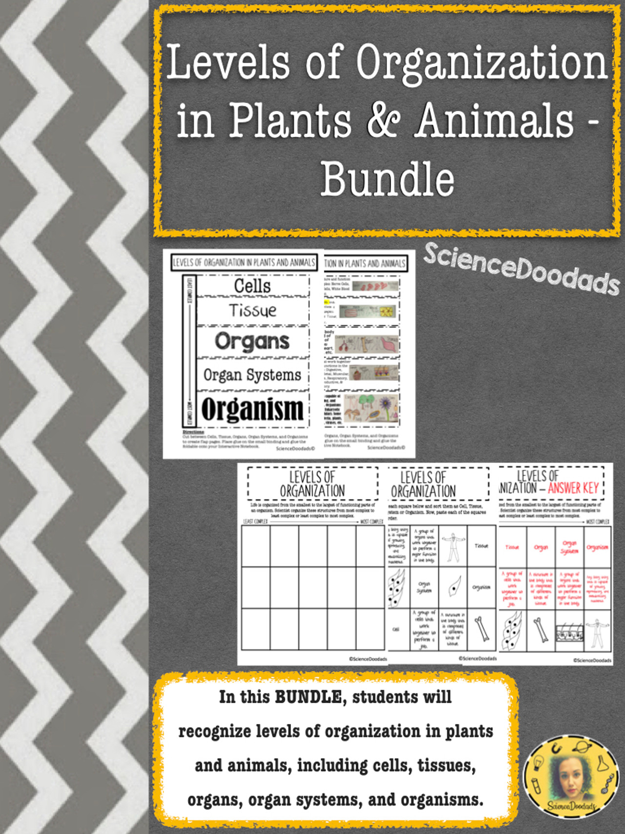 Levels of Organization in Plants and Animals - Bundle - Amped Up Learning