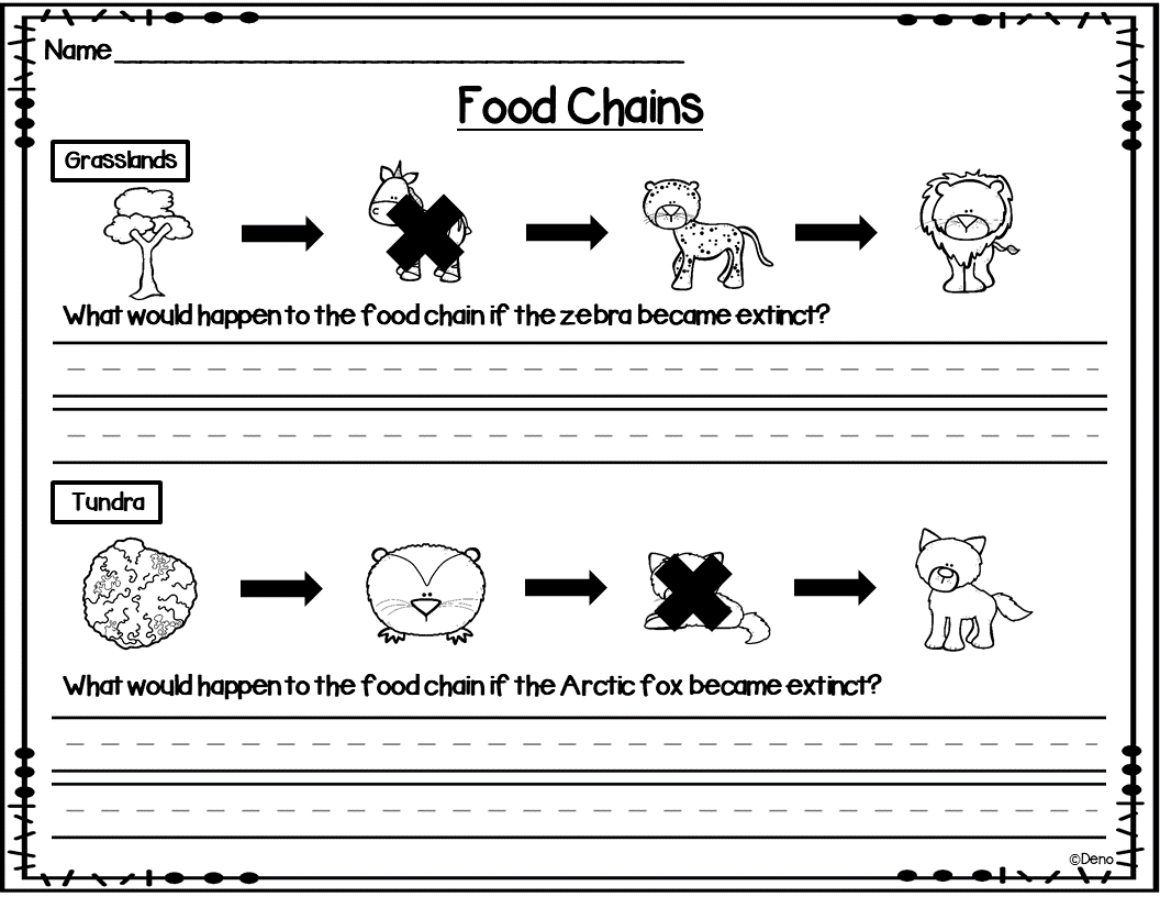 Food Chains
