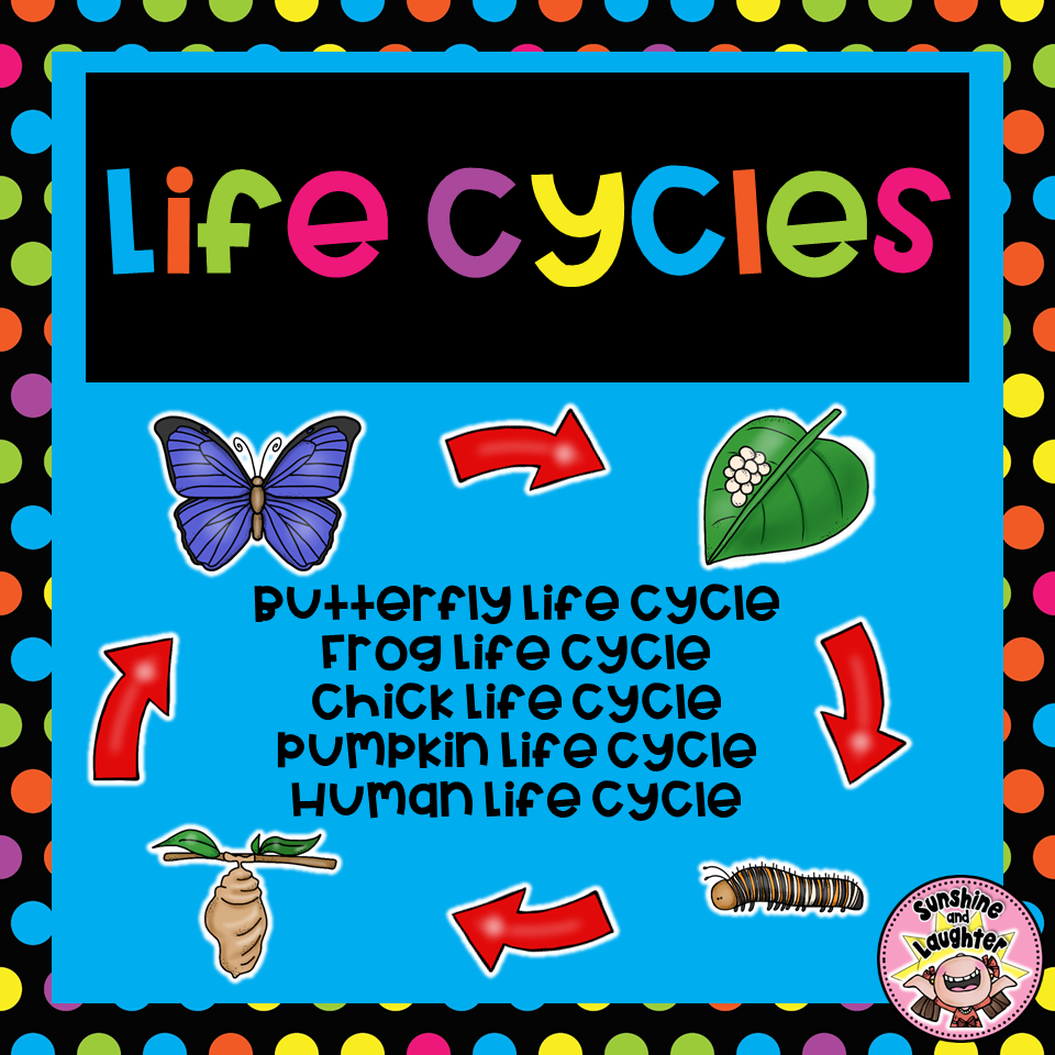 Life Cycles - Amped Up Learning