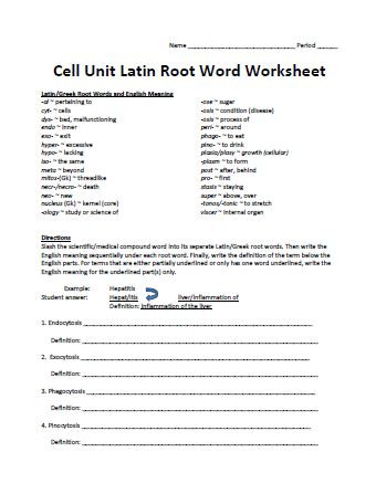Cell Unit Latin Root Word Worksheet - Amped Up Learning