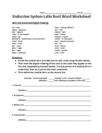 Endocrine System Unit Latin Root Word Worksheet - Amped Up Learning