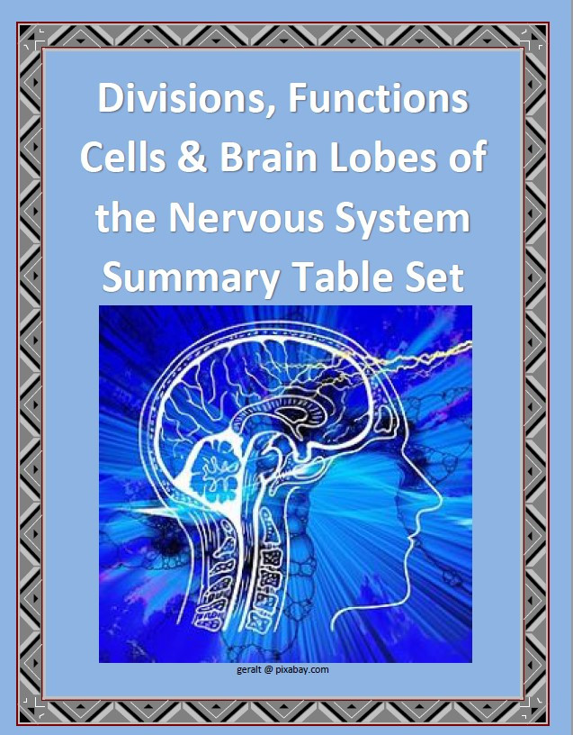 Nervous System Summary Table Series - Amped Up Learning