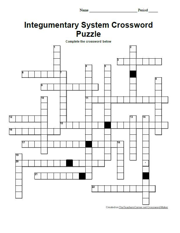 Integumentary System Crossword Puzzle Set - Amped Up Learning