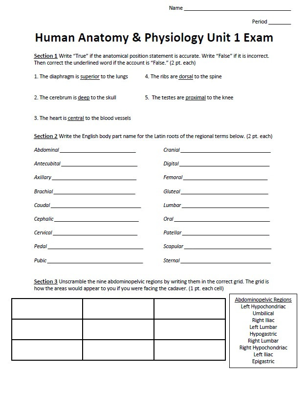 Human Anatomy & Physiology Unit 1 Exam - Amped Up Learning